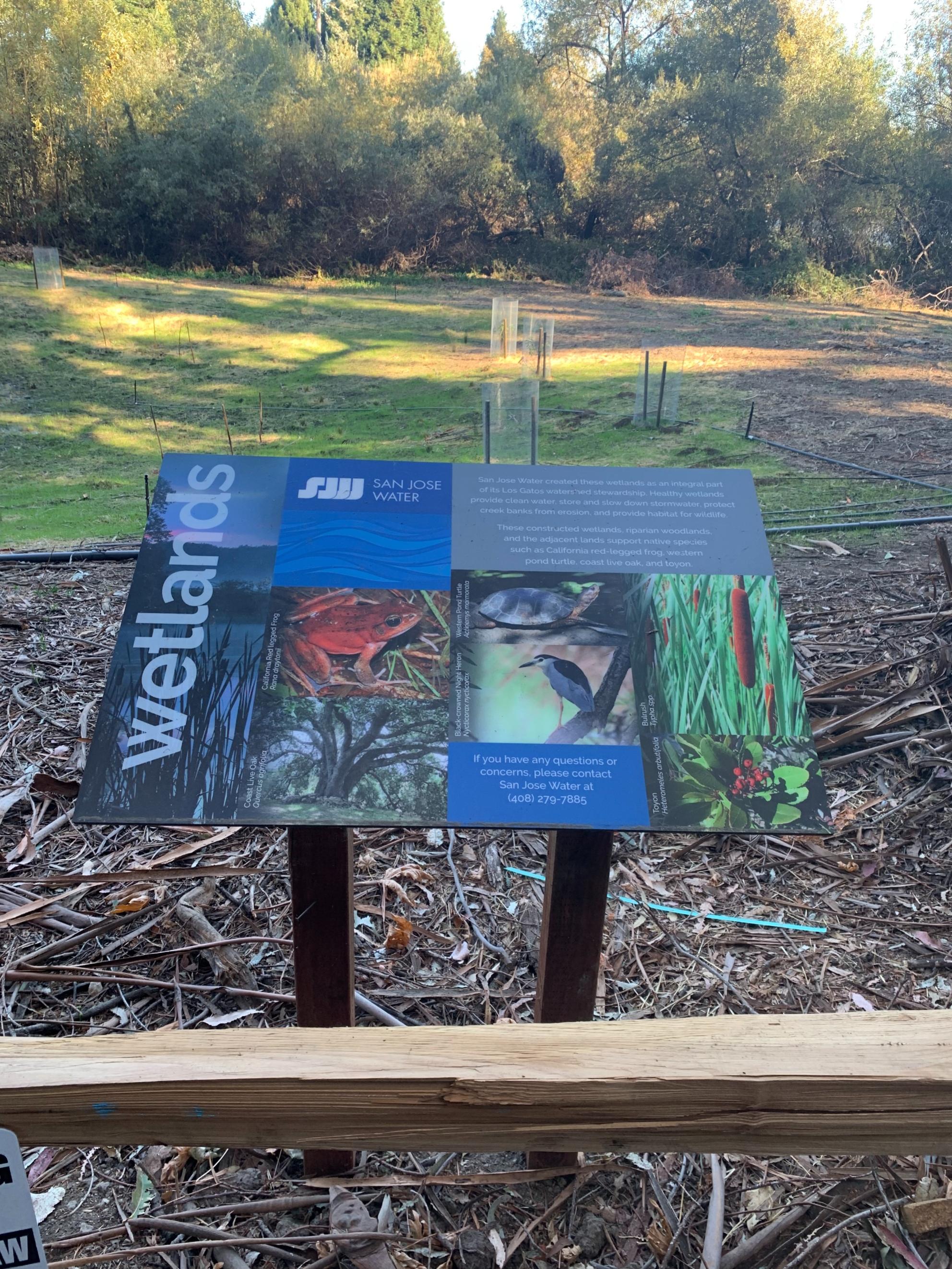 A Peek at Wetlands Conservation | San Jose Water